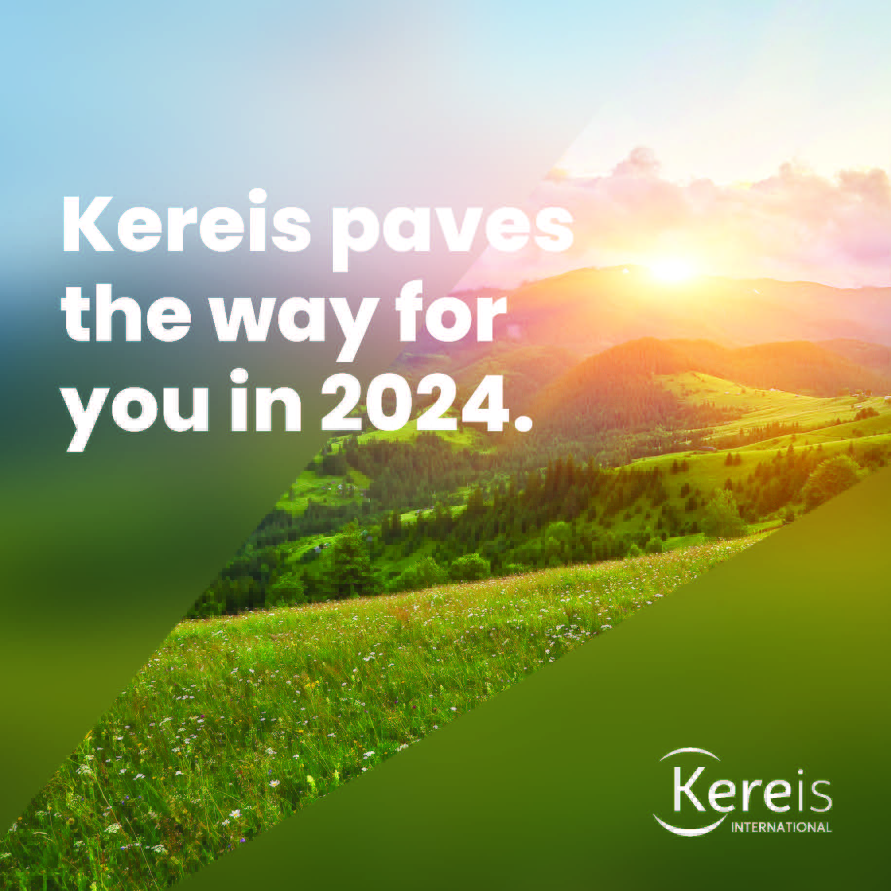 Best wishes for 2024 - Kereis